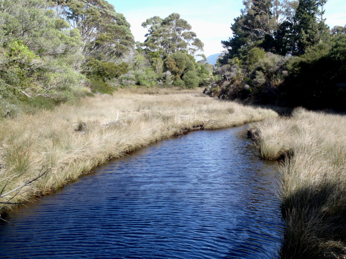 Pacific Eco-Logic New Zealand