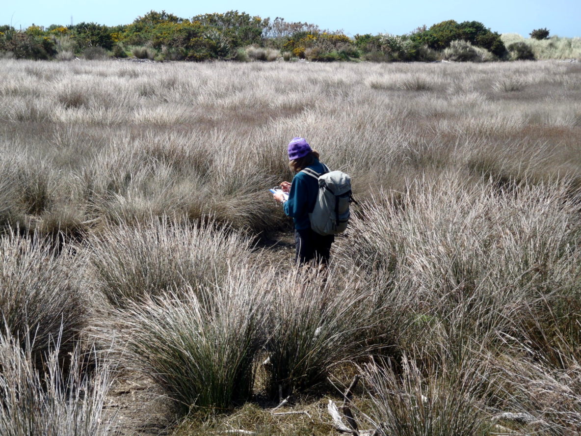 About | Pacific Eco-Logic New Zealand