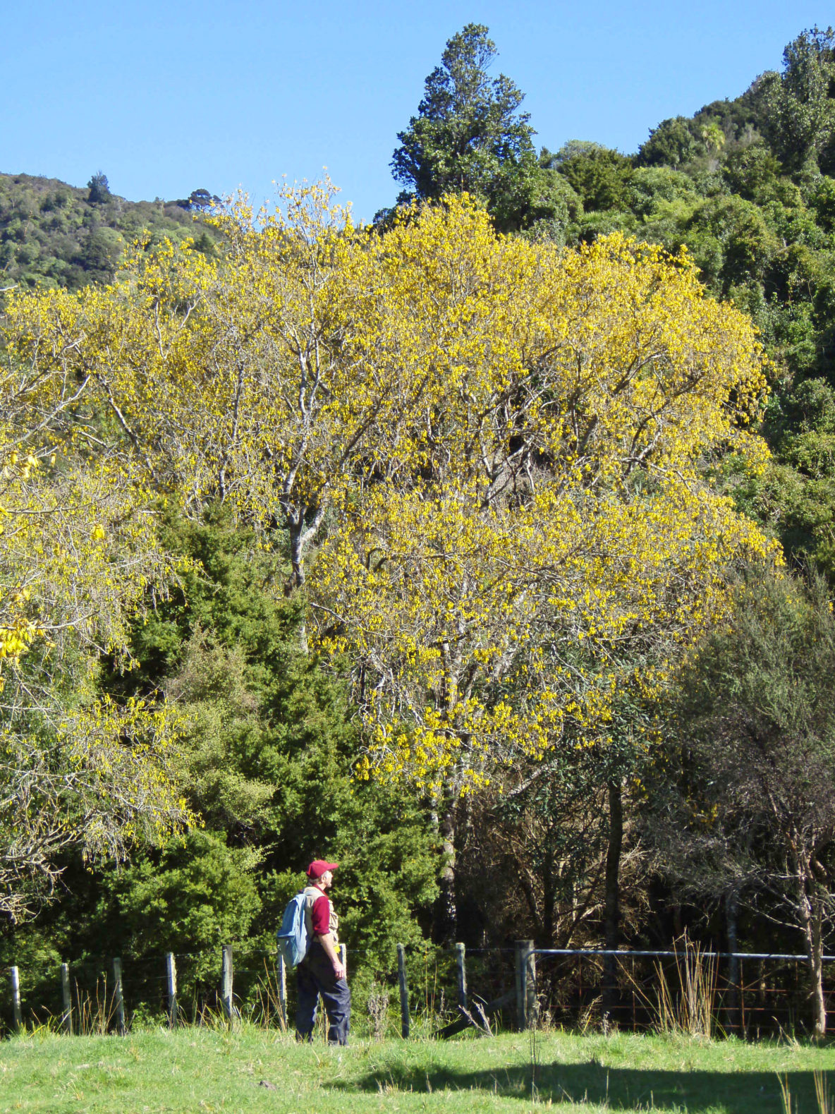 Environmental monitoring | Pacific Eco-Logic New Zealand