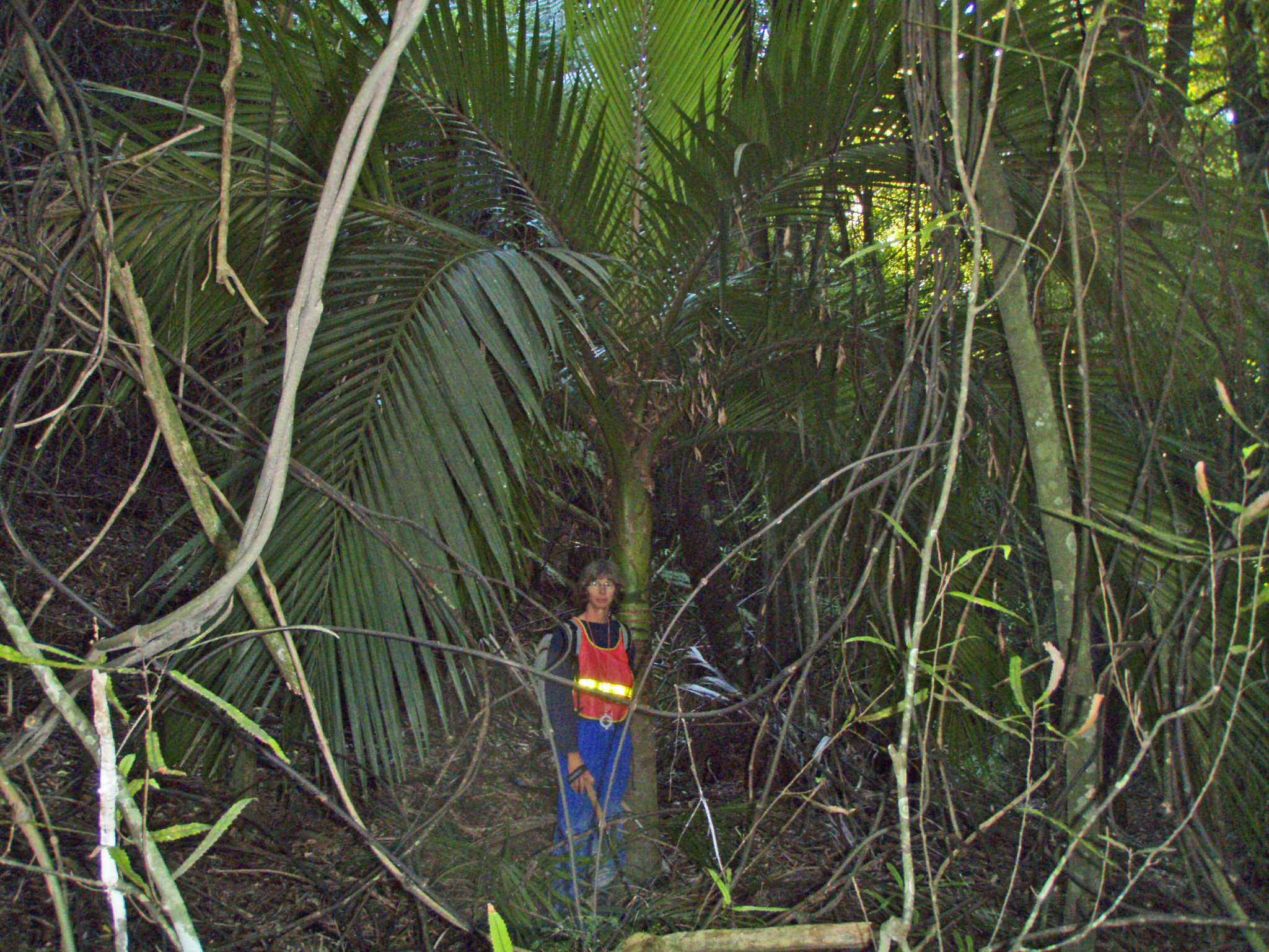 About | Pacific Eco-Logic New Zealand